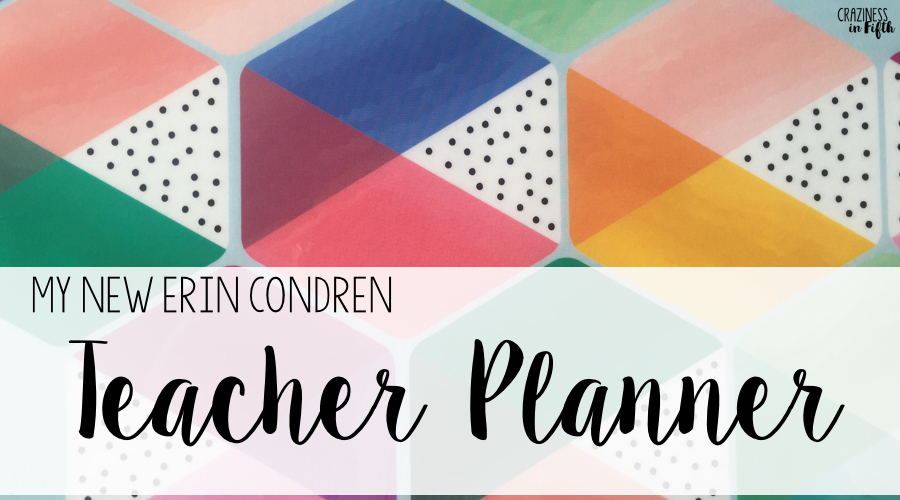 Craziness in Fifth: New Erin Condren Teacher Planner