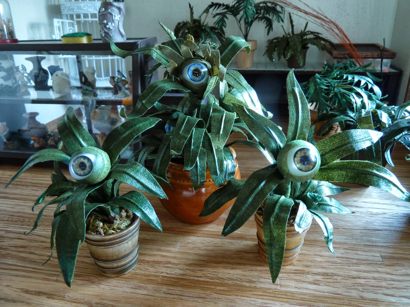 Miranda Wandering: Just Between Fronds: Where the Plants Have Eyes