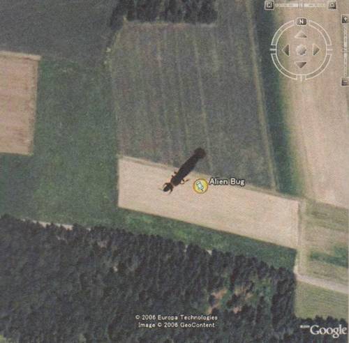 Google Earth Takes Photo Of Giant Bug? ~ The Crypto Crew
