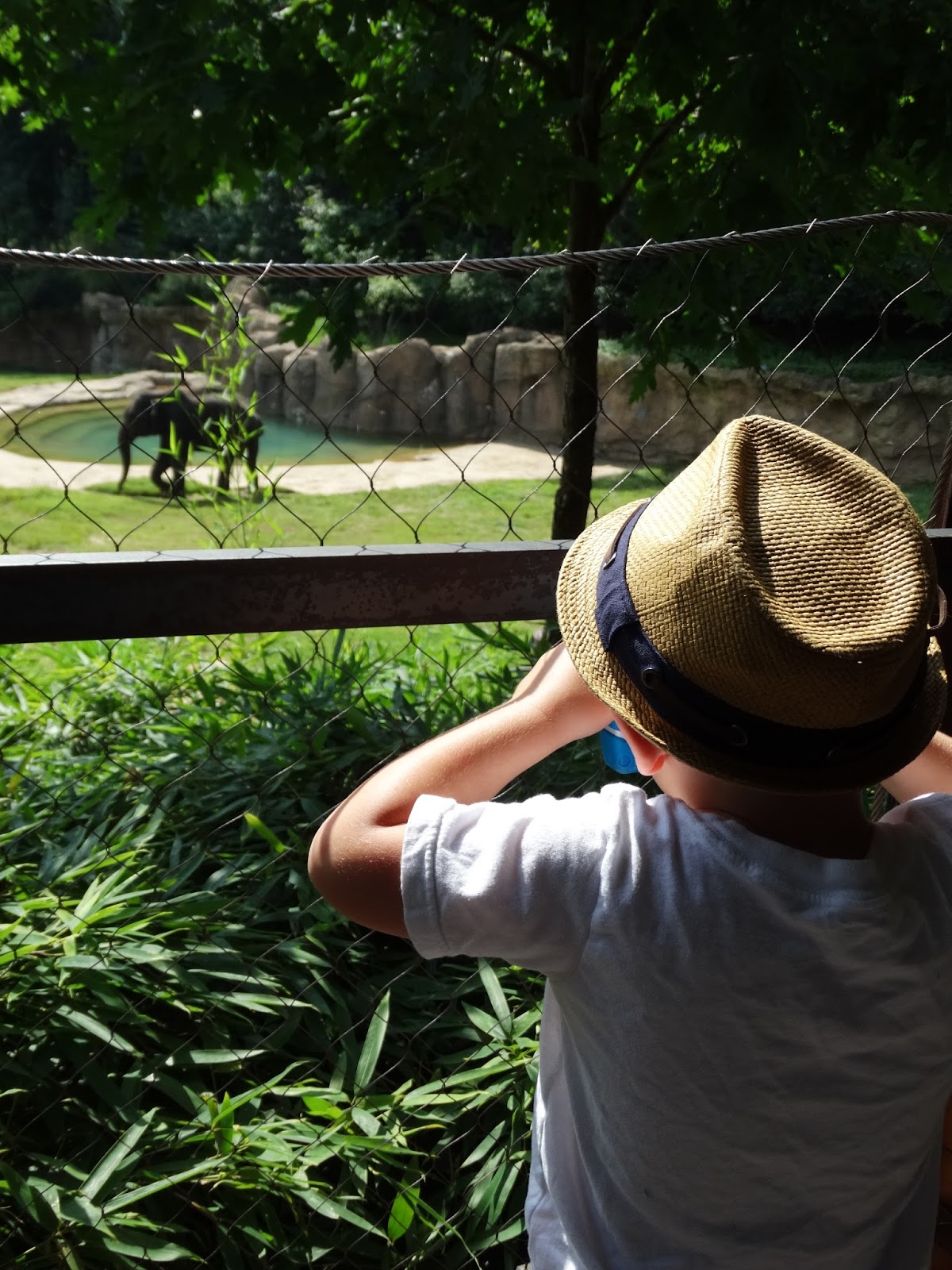 2304 Miles: The (Smithsonian) National Zoo(logical) Park with young ...