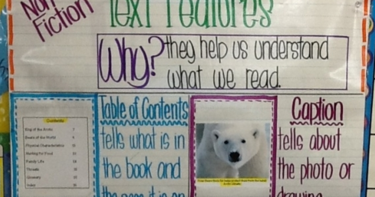 ELA Anchor Charts: Non-fiction Text Features