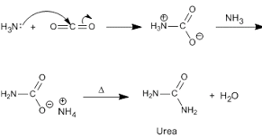 Reaksi sintesis urea dan Reaksi Total Sintesis