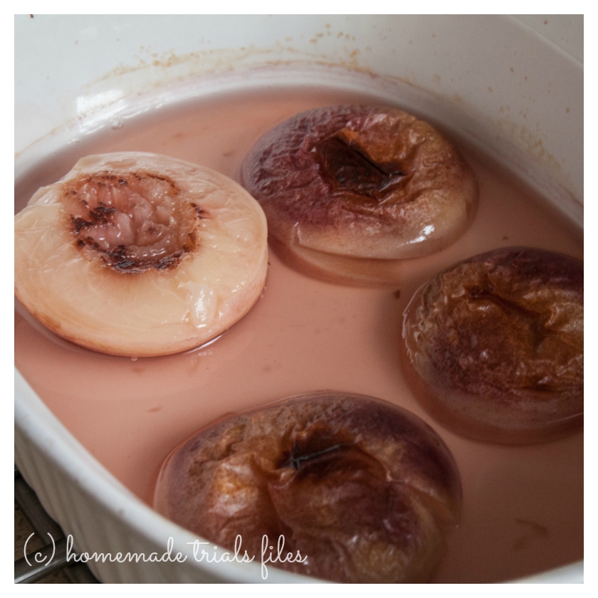 My Homemade Trials Files: {Basic Fruit Purée}