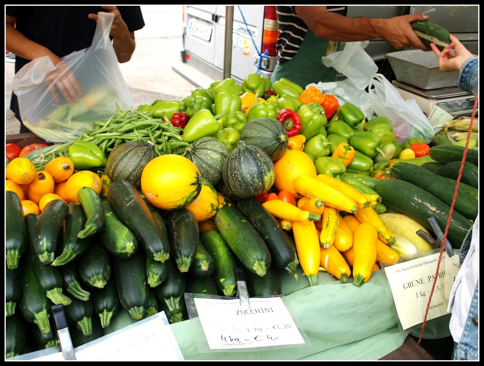 Mark's Veg Plot: August 2012
