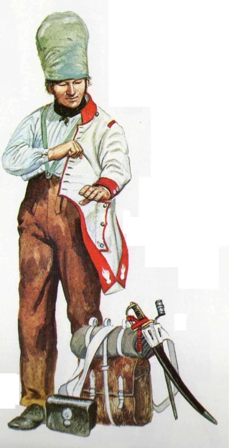 la biblioteca militare: La Guerra Peninsulare 1808 - 1814 nelle tavole ...