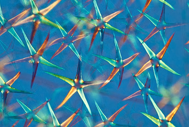 Beautiful Science #2 : 50 images scientifiques extraordinaires, le ...