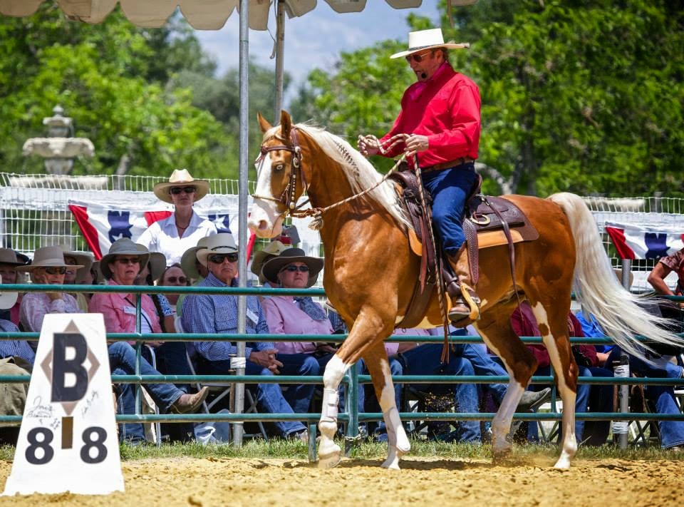Buckaroo Leather Horse Tack, Use, Care and Maintenance: Cowboy Dressage ...