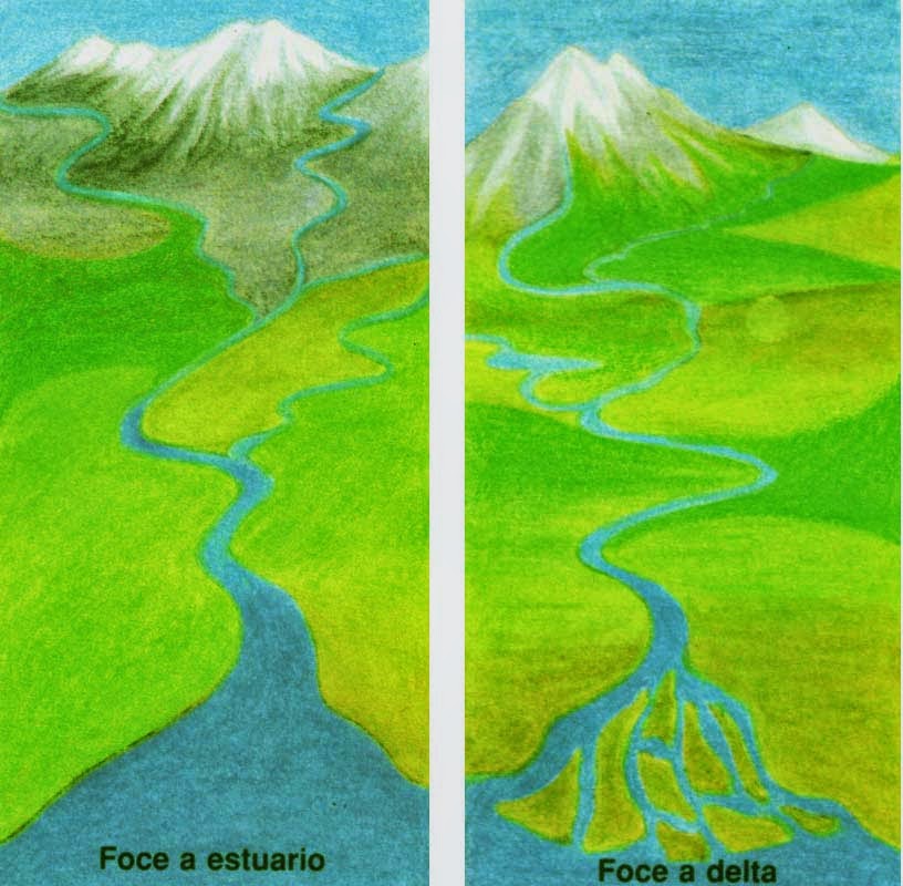 TRENONLINE2: LA FOCE