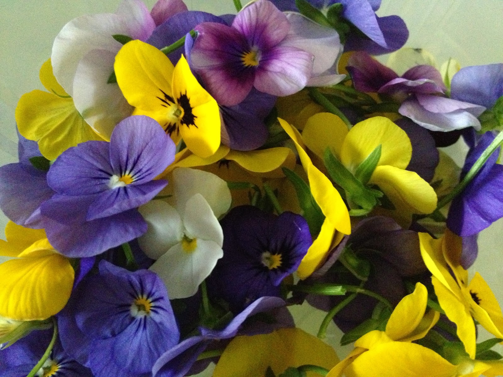 Flower Farmacy: Edible Flowers 101