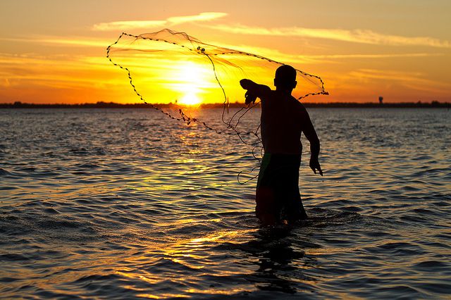 mamabishop: Casting Nets
