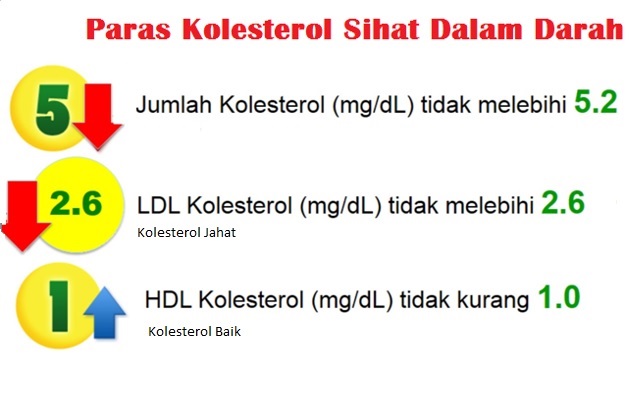Bacaan Kolesterol 6.0 | Umi Nazrah
