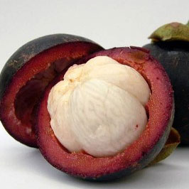 Servicios Integrales del Agro.: CÓMO CULTIVAR MANGOSTINO (Garcinia ...