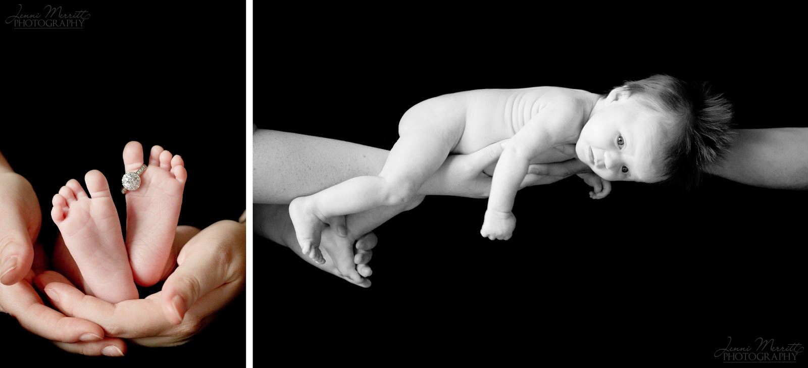 Jenni Merritt Photography