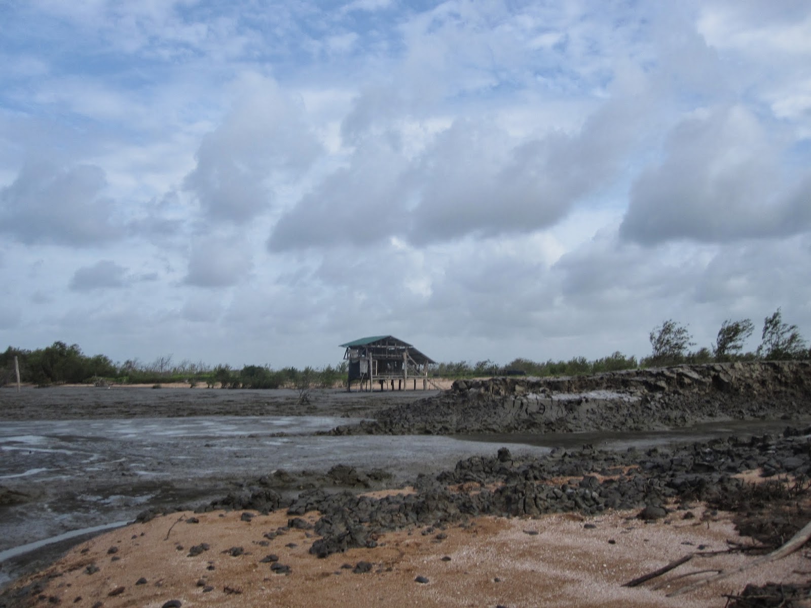 Julie in Paramaribo: Nickerie