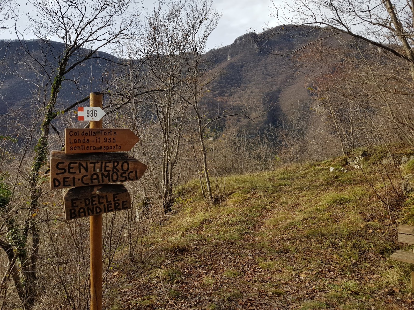 Su strade e sentieri: COL MOSCHIN (m. 1.279) - Massiccio del Grappa