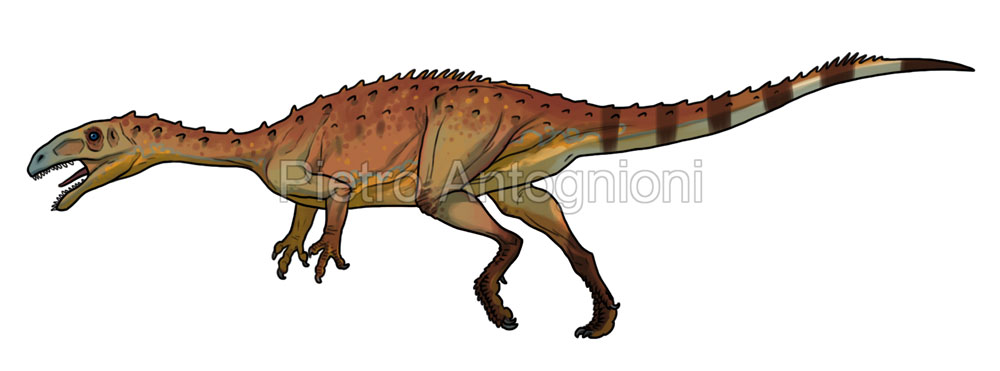 Pietro's Paleoart: Noasaurus