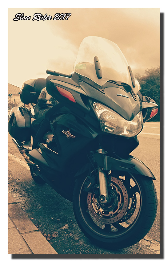 SLOW RIDER: LA VACA MOTERA 17/09/2017 THE BIKER COW