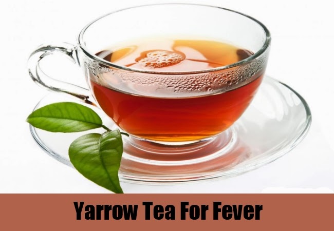 Tea For Fever ~ Healthy Tea 101