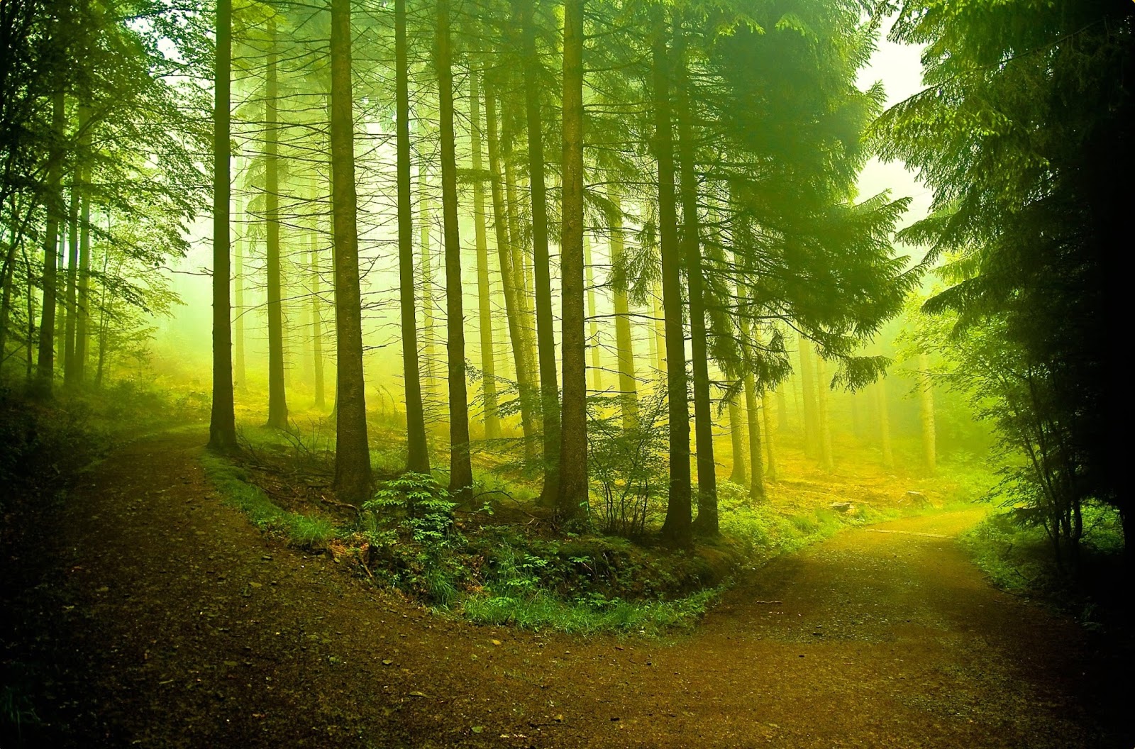 Banco de Imágenes Gratis: 24 fotografías de paisajes naturales del ...