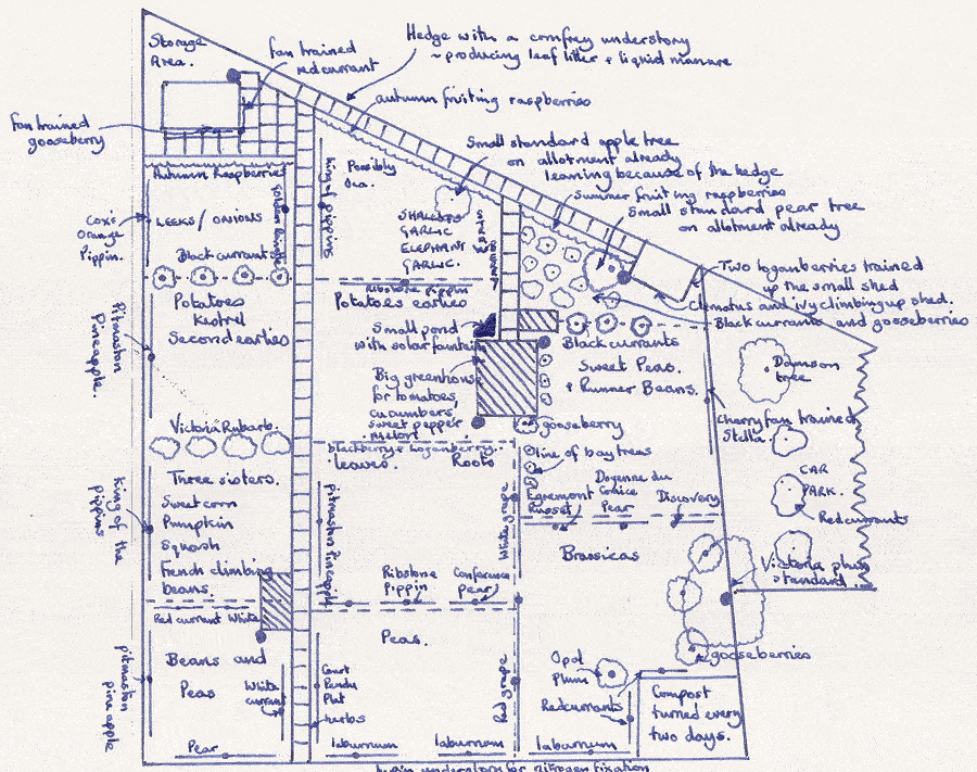 Allotment Garden: February allotment photographs.