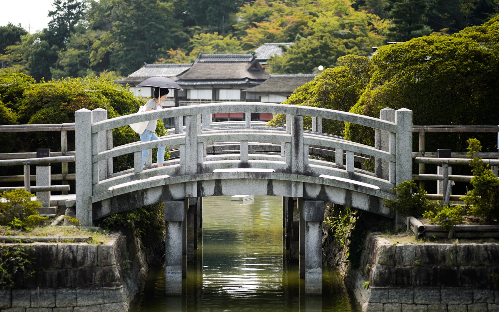 Top 5 Beautiful Place in Japan | Best Wallpaper Views