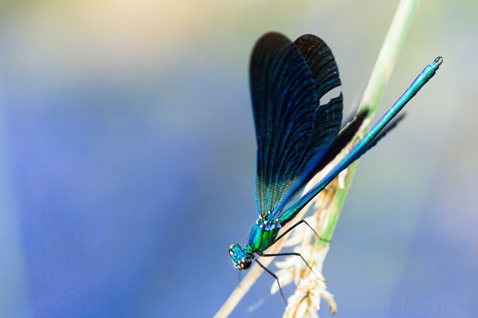 hay días en que recordamos o percibimos todo, José Rui Teixeira