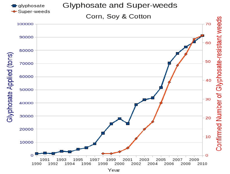 Are GMO Crops & Food Really Safe? A 2016 Summary