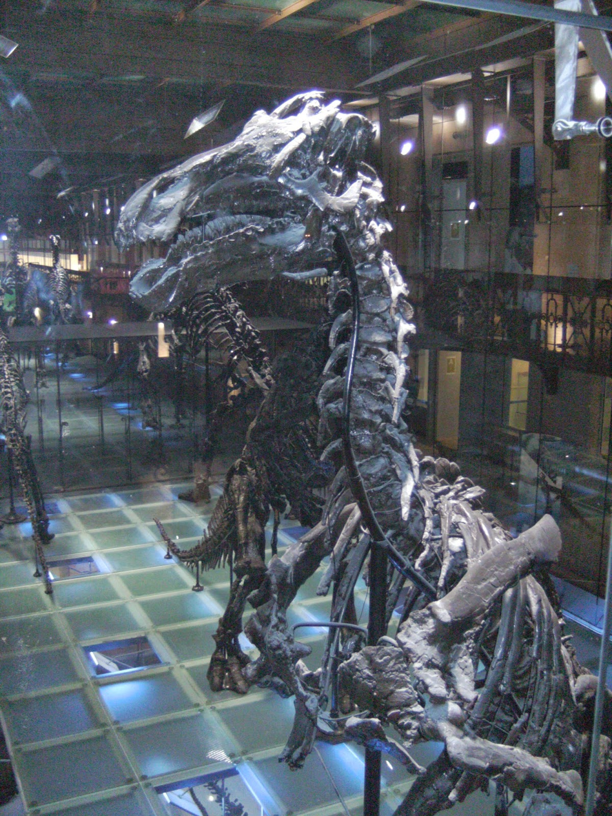 Inleefweek: Wetenschappelijke cluster: Bezoek aan het Dinomuseum