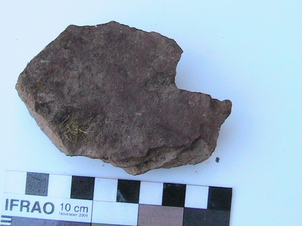 Archaeology of Portable Rock Art: February 2014