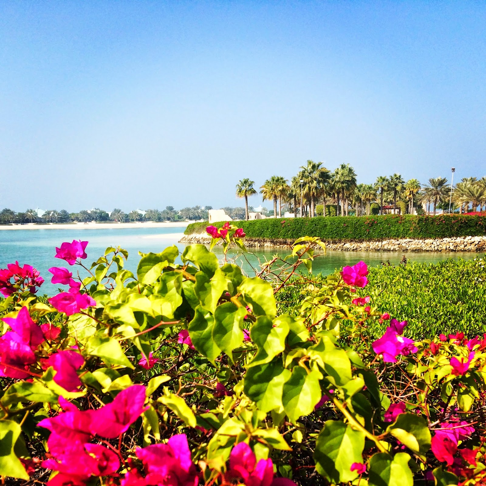 Biraz teddy bear biraz barbie: Weekend Activities in Bahrain / Bahreyn ...