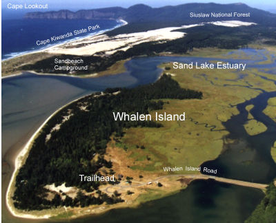 IrelandBrady - Musings To Ponder: Whalen Island Camp Ground in ...