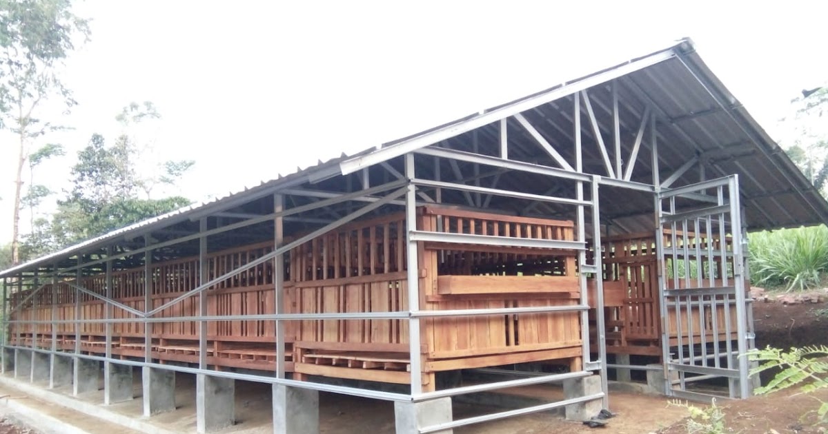 27+ Desain Gambar Kandang Kambing Pics