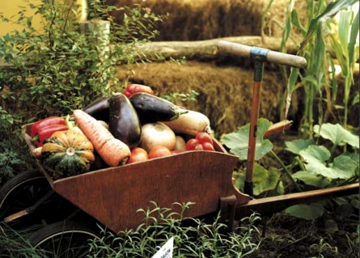 Desarrollo y Defensa: El camino de la soberanía alimentaria