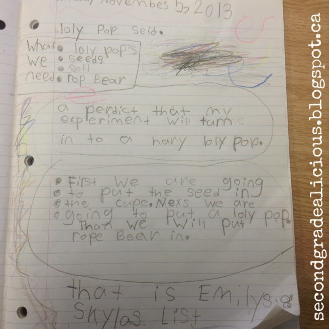 Our Latest Inquiry project! - Create Dream Explore