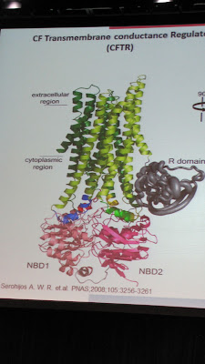Possibilities: Genetic Origami