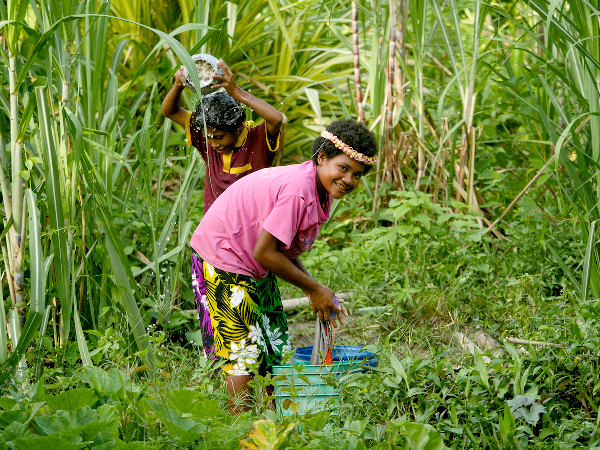 TARA EXPEDITIONS en español: Yanaba island, su gente