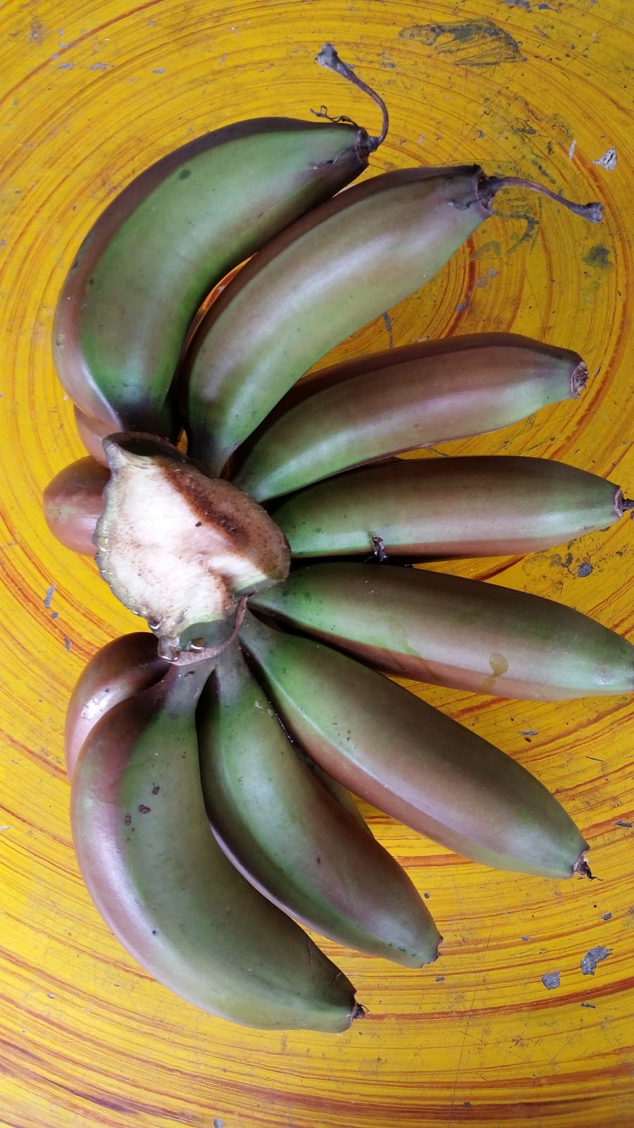 Warisan Petani: Riwayat Hidup Pisang Raja Udang