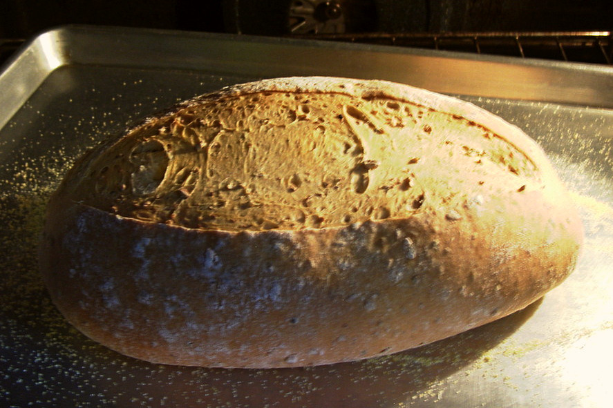 Cookistry: Bread with Malted Wheat Flakes