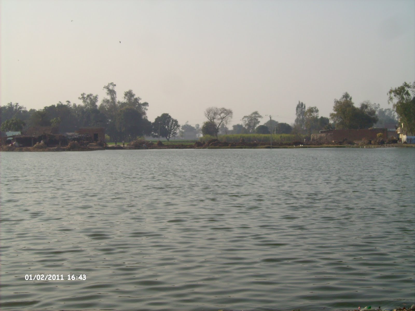 INCHOLI......Village And Post Incholi, Meerut, (U.P)