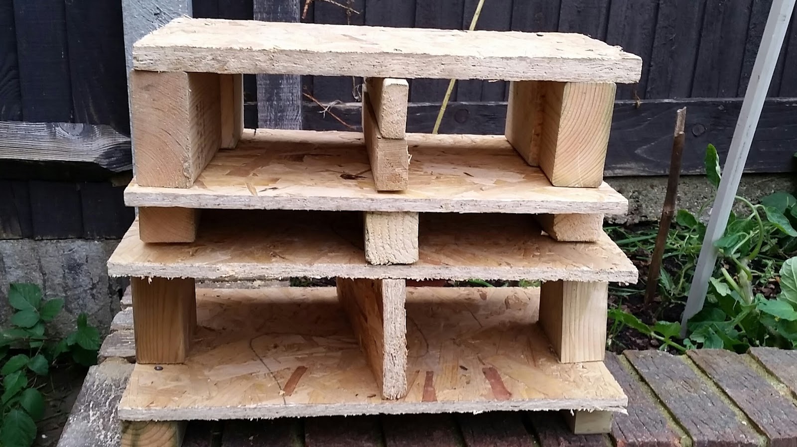 Inside Martyn's Thoughts: Making a Mini Beast House Part 2