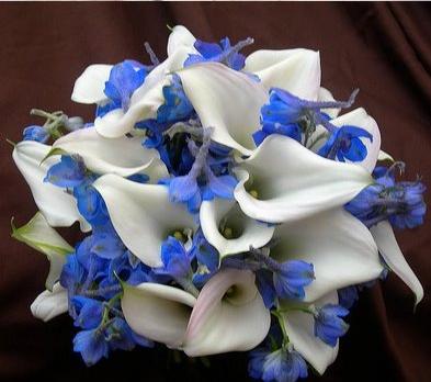 Best Wedding Flowers: Blue Fall Wedding Flowers