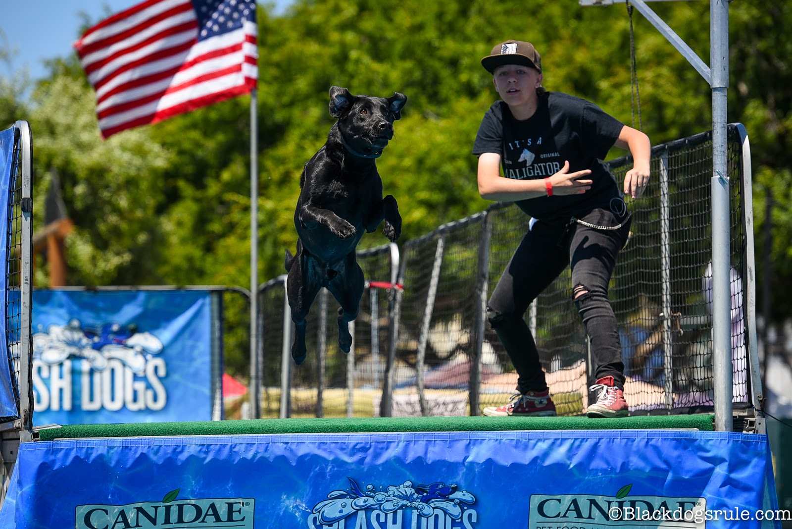 Fun Activities For You And Your Dog