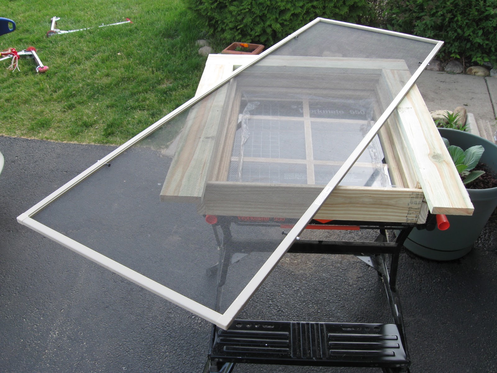 Building A Practical Treehouse: Let's Build Something: Windows