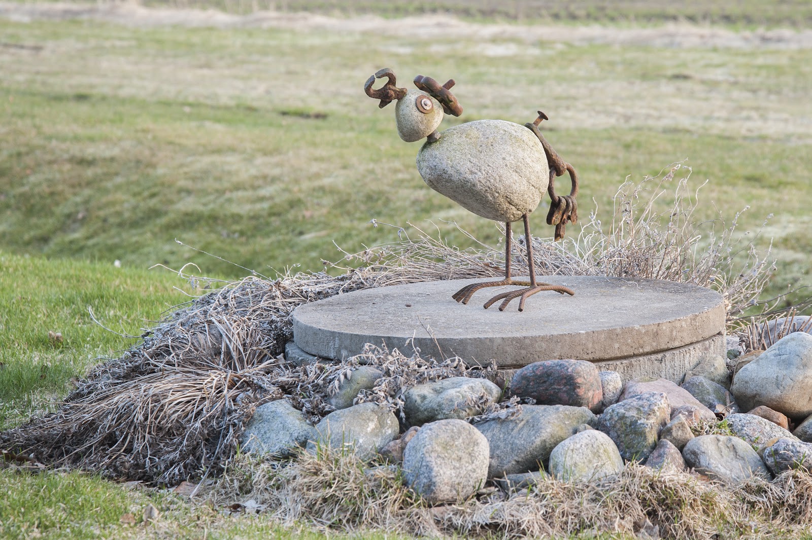 Växthusliv: Lockfågel av skrot