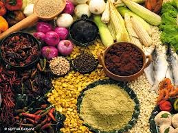 "MAYAS": COMIDAS DE LOS MAYAS: