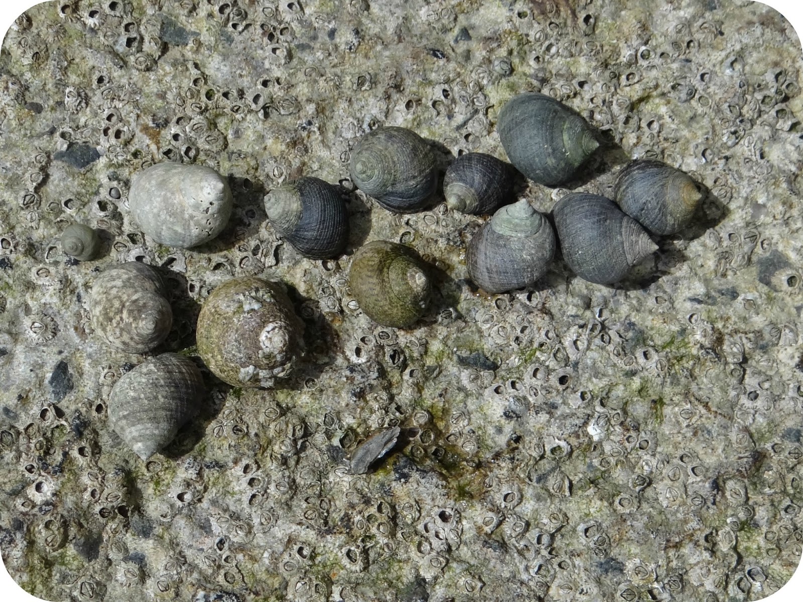 Life Unexpected: Right on your Doorstep