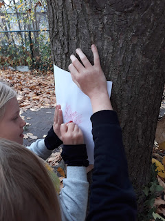 Leefgroep III: Project bomen: schors tekenen