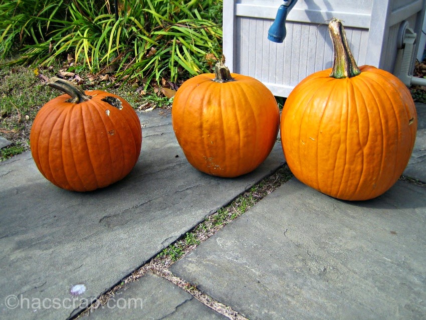 Spooky No-Carve Pumpkin | My Scraps