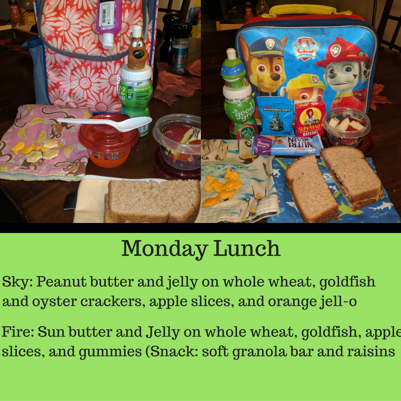 A Week in Packed Lunches