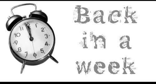 Kelsey's Book Corner: MIA NOTICE